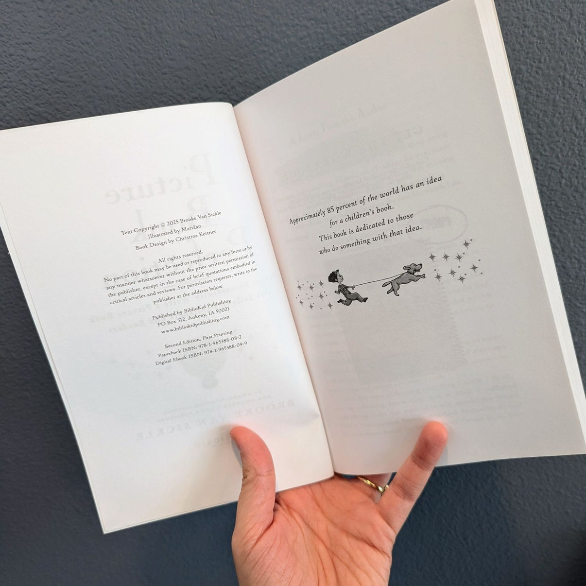 Picture Book Perfection (Paperback) – Journey to Kidlit