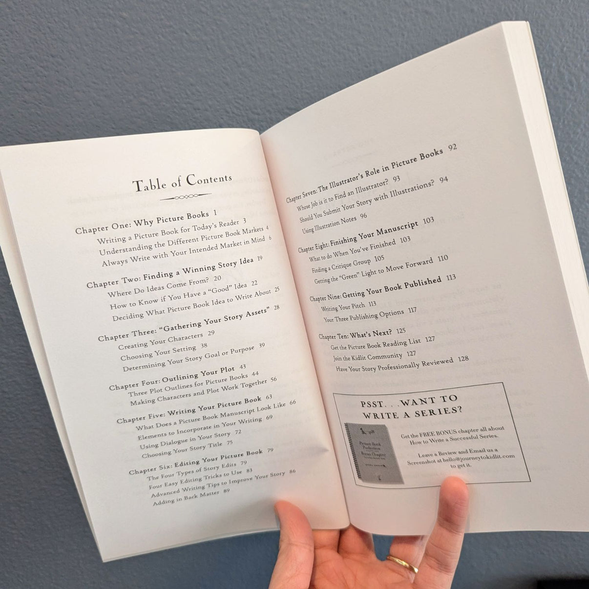 Picture Book Perfection (Paperback) – Journey to Kidlit